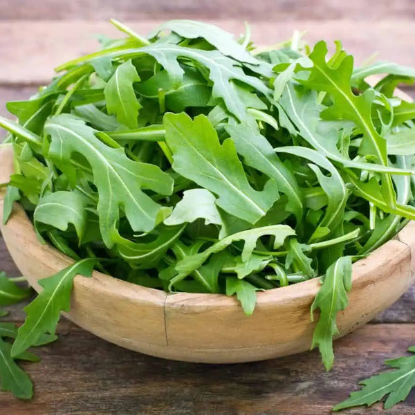 Organic Rocket 15g (Local delivery only) – Papillon Organic Farm